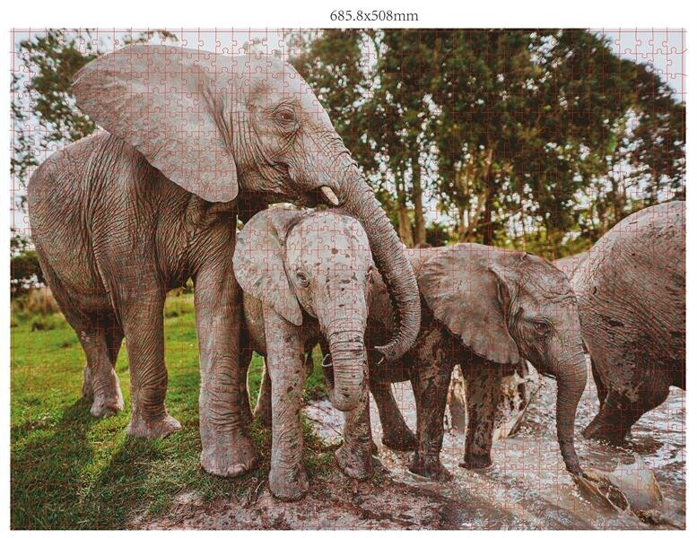 Puzzle Photographers - Familles d'Animaux Sauvages (3x1000)