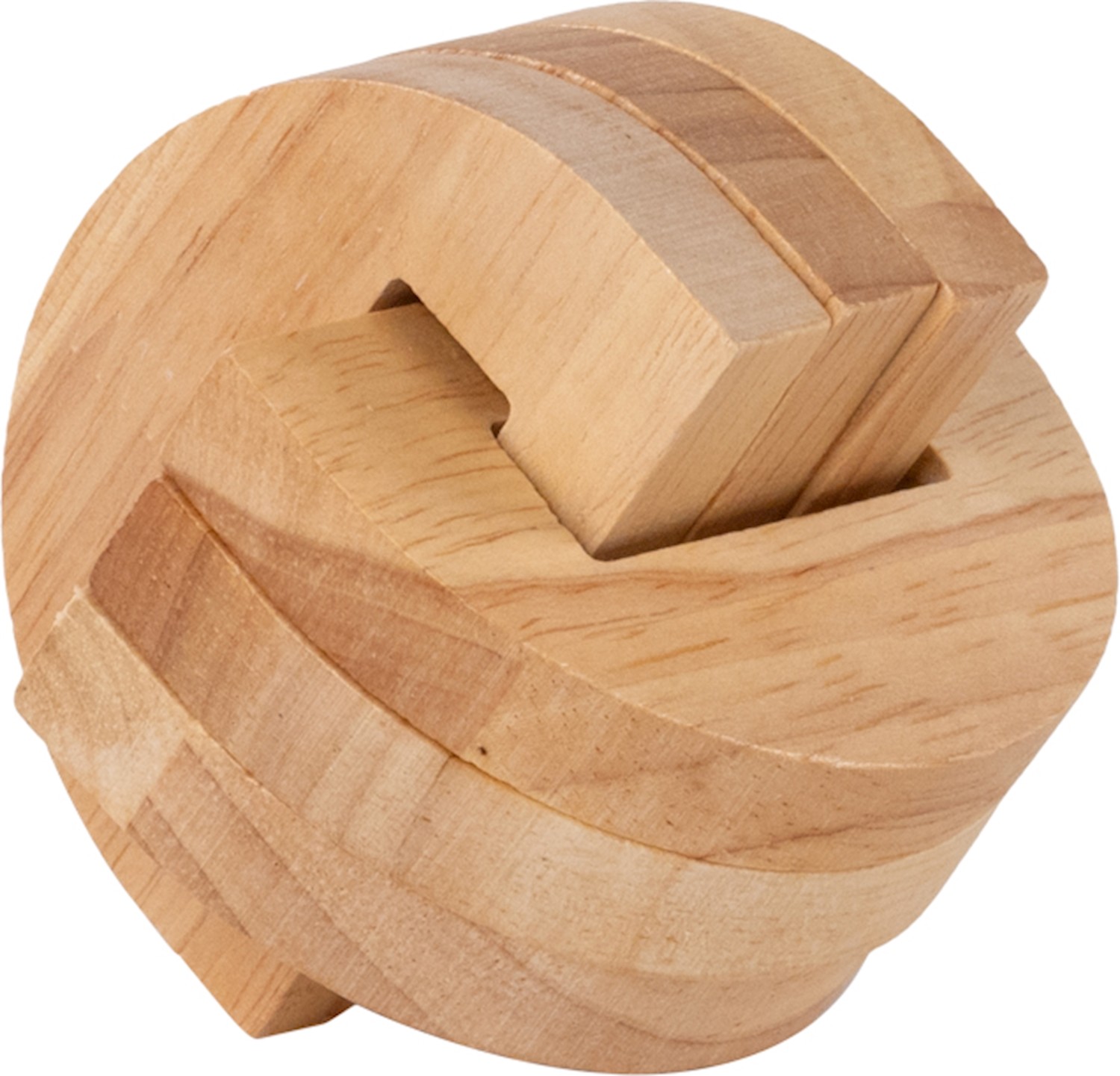 Casse-Tête Brain Puzzle - Temporal Lobe