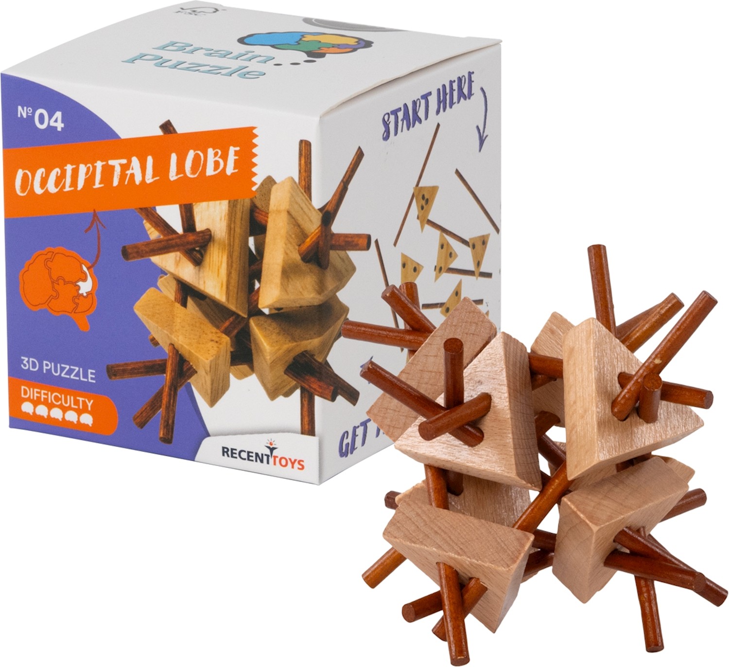 Casse-Tête Brain Puzzle - Occipital Lobe