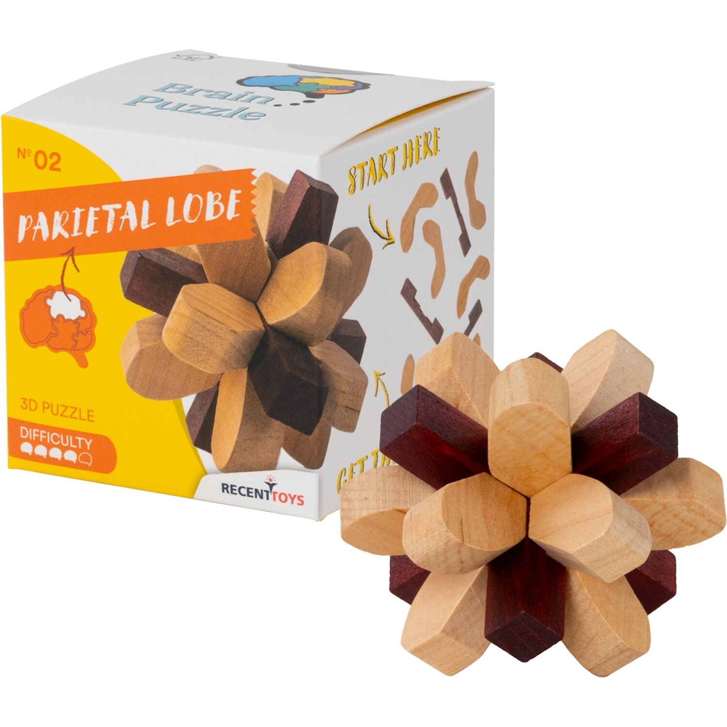 Casse-Tête Brain Puzzle - Parietal Lobe